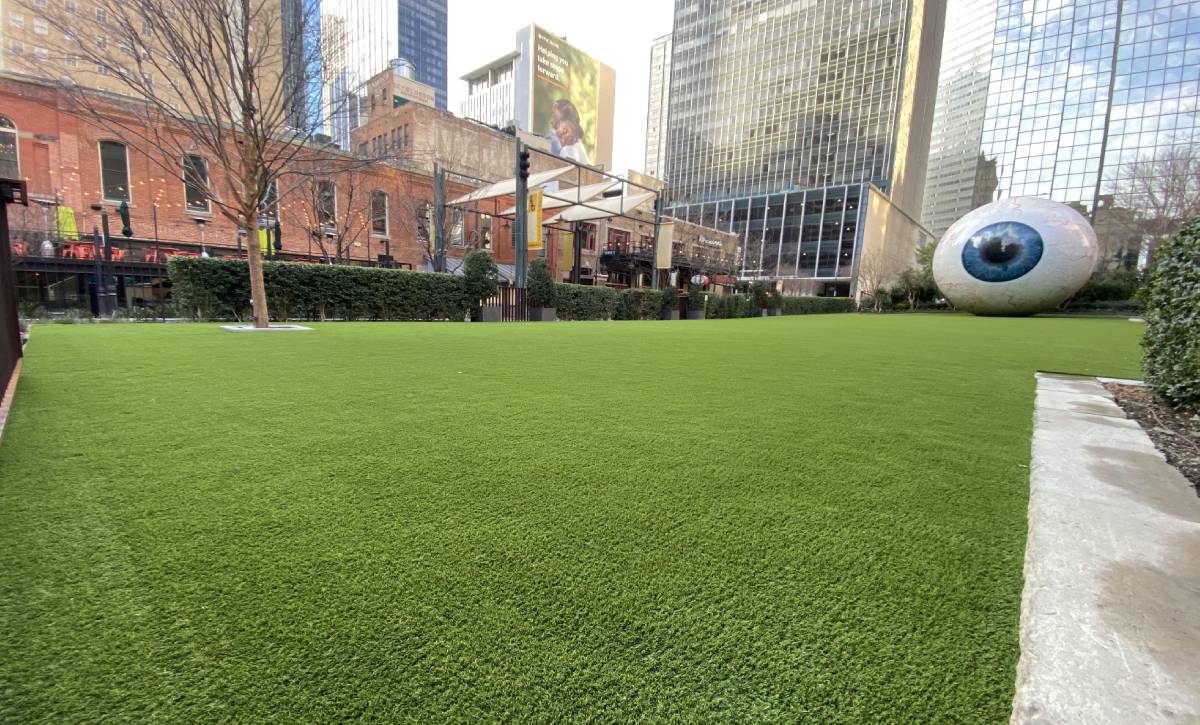 Eyeball Park | Artificial Grass Project | SYNLawn